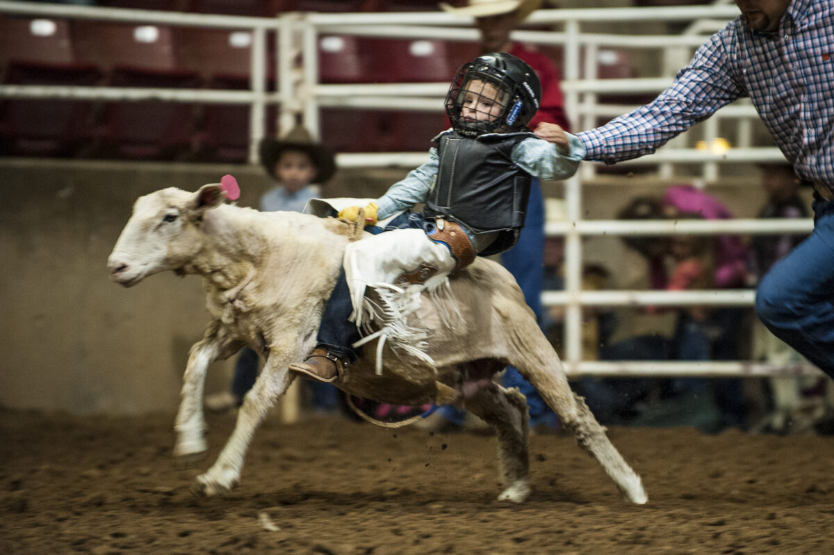 Young stars steal show at Utah Youth Rodeo | News, Sports, Jobs ...